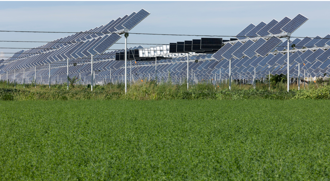 Ayudas Agrivoltaica 2026 | Subvenciones para Energía y Agricultura